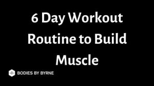 6 Day Workout Routine to Build Muscle: Push/Pull/Legs - Bodies By Byrne